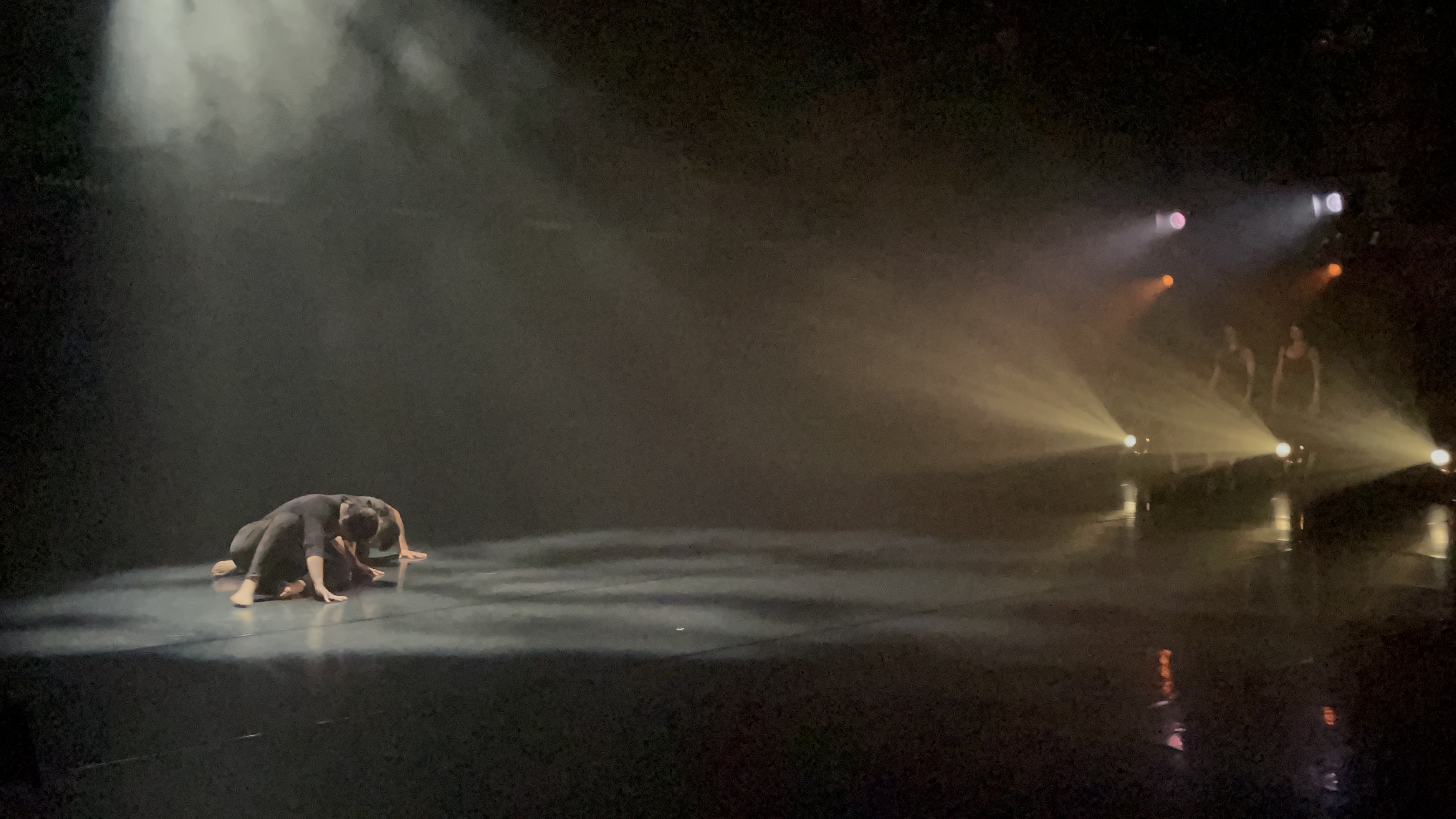 NAfro Dance's 'Serengeti' a wake-up call about climate crisis realities - Classic107: Winnipeg's ...